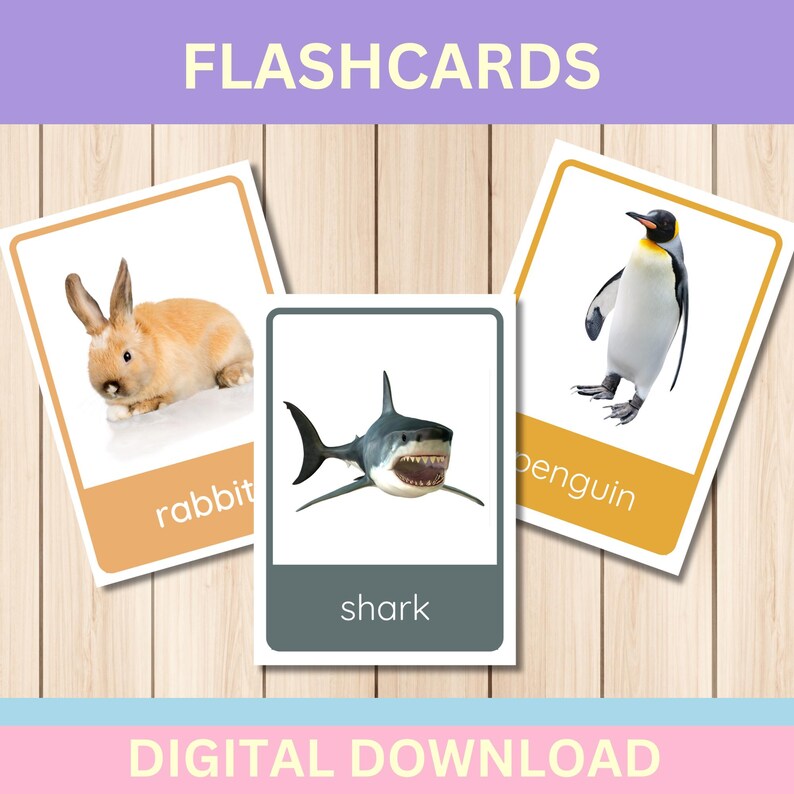 Animal Flashcards, 50 Printable Flashcards, Preschool Flashcards ...