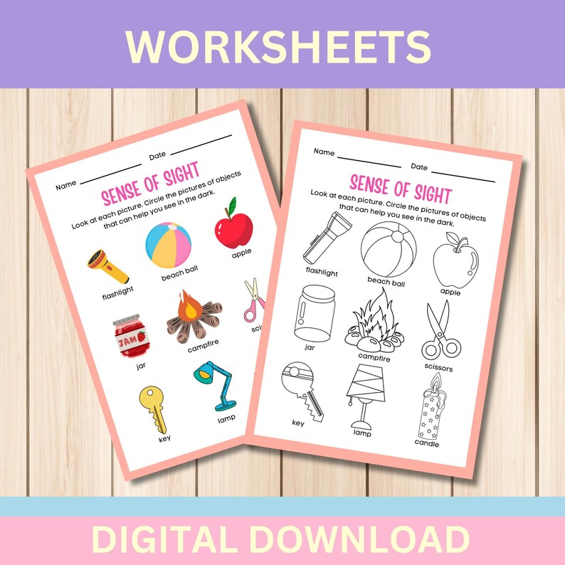 Five Senses Worksheets for Kids | Printable Activity Sheets for ...