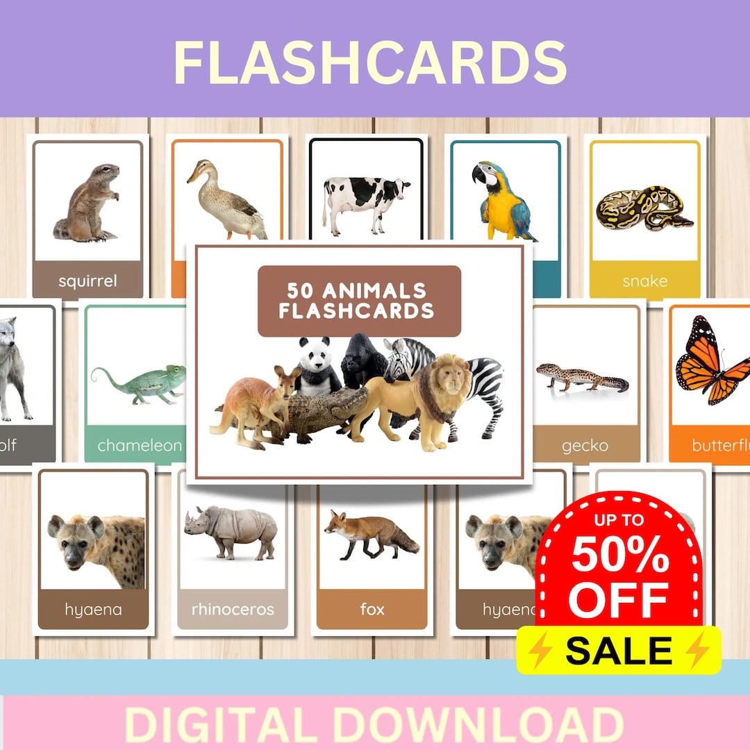 Animal Flashcards, 50 Printable Flashcards, Preschool Flashcards ...