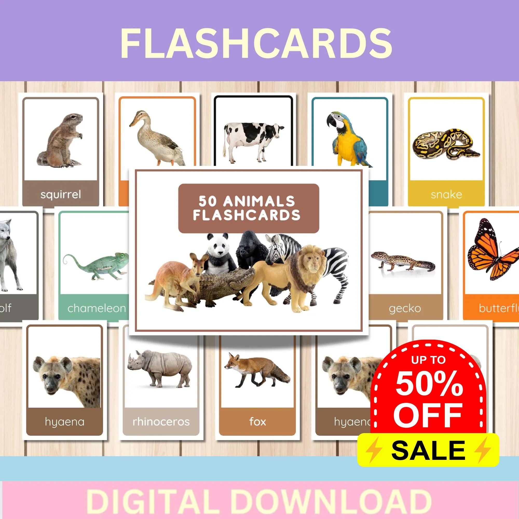 Animal Flashcards, 50 Printable Flashcards, Preschool Flashcards ...