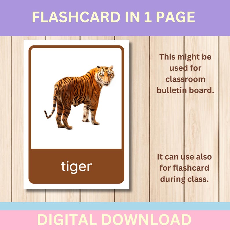 Animal Flashcards, 50 Printable Flashcards, Preschool Flashcards ...