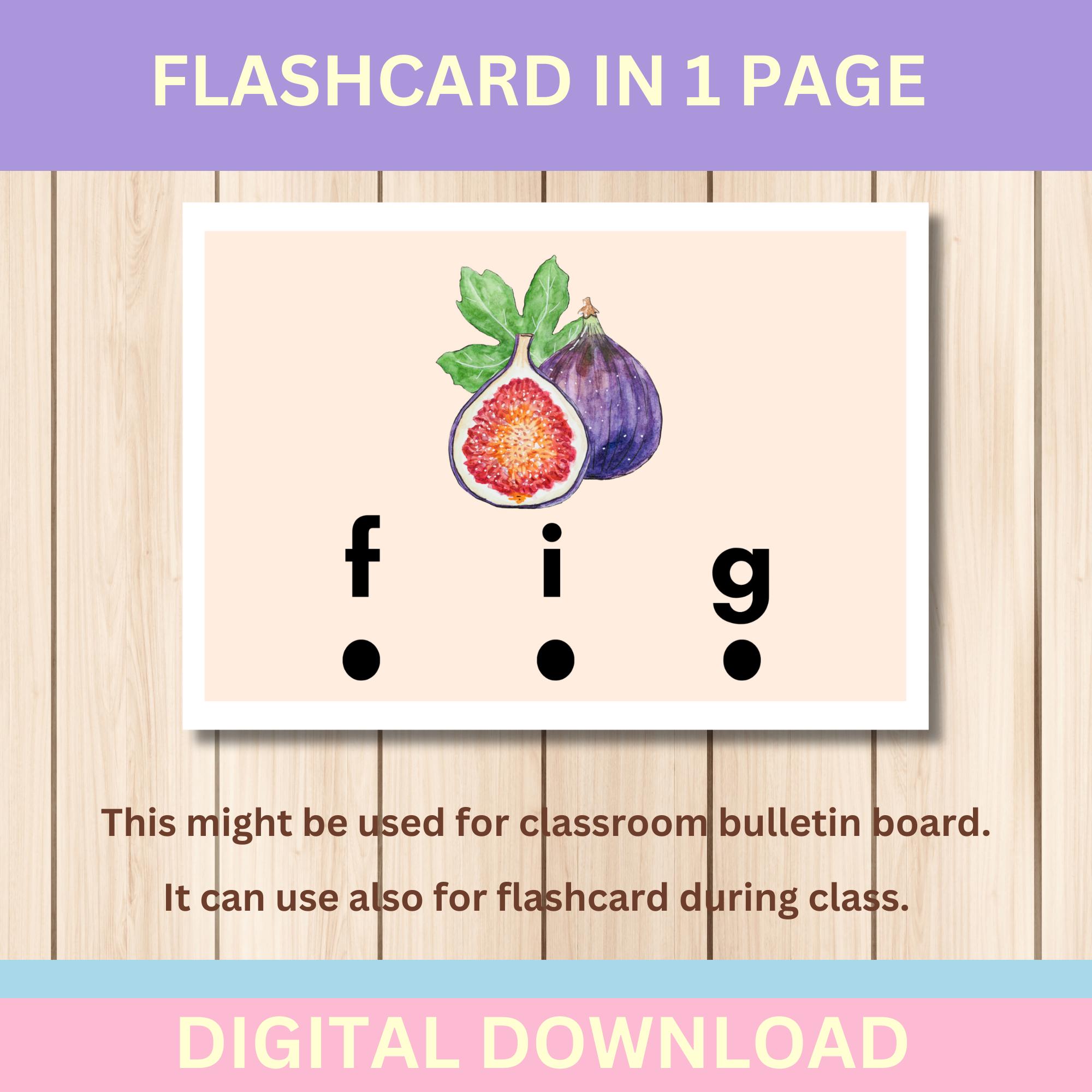 Word Family Flashcards in 2 Sizes | Instant Downloadable Digital ...