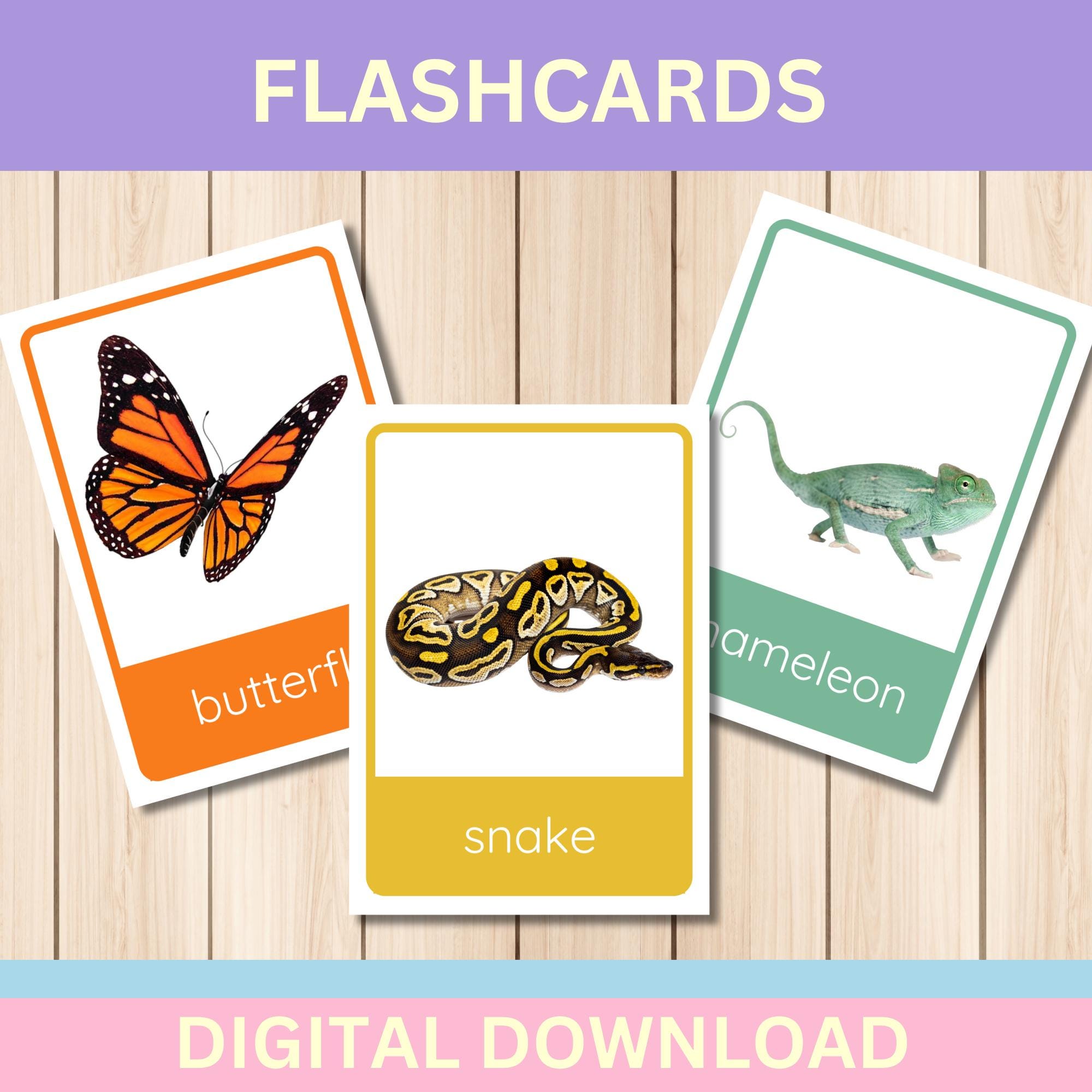 Animal Flashcards, 50 Printable Flashcards, Preschool Flashcards ...