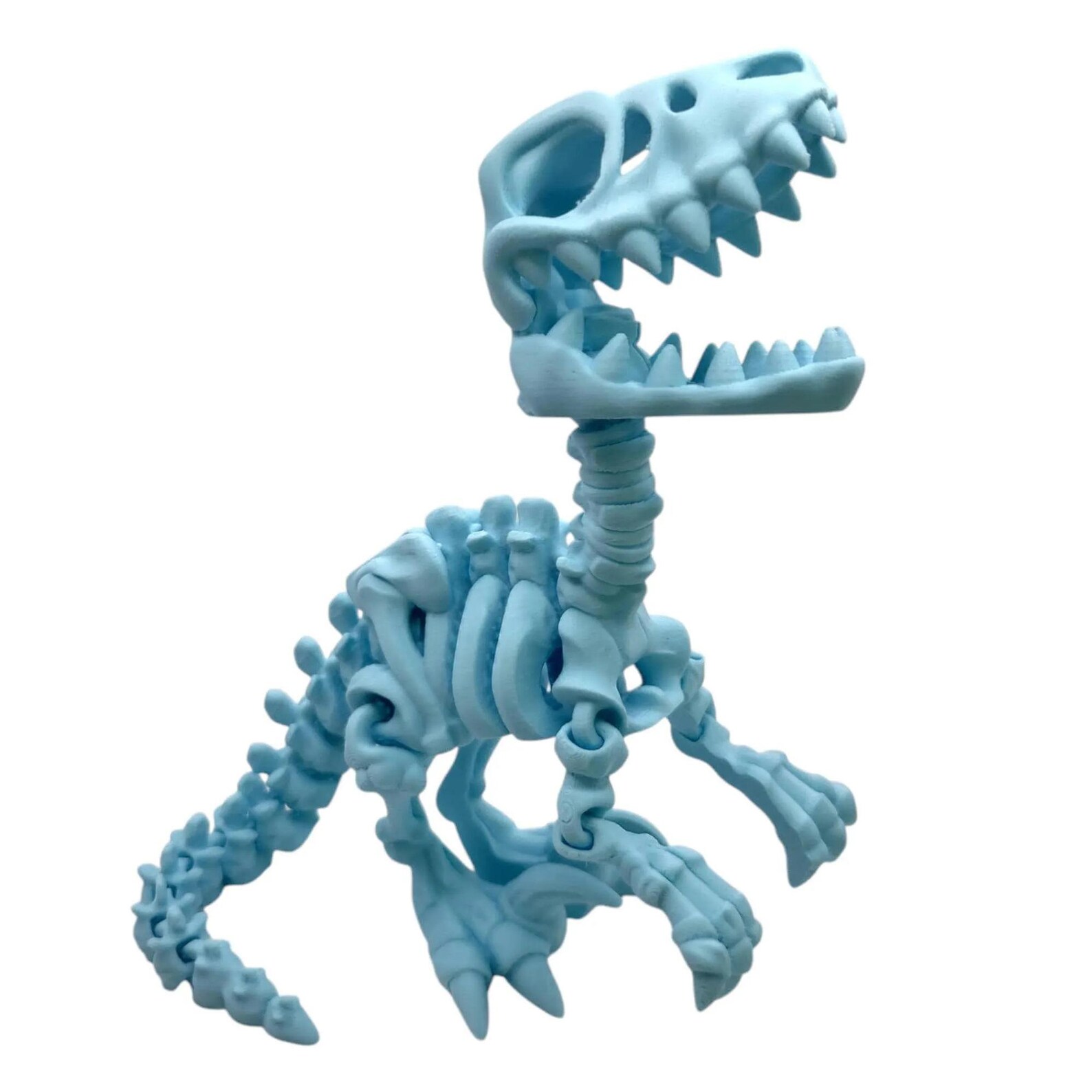 RAPTOR Flexi Skeleton ~ 3D Printed Articulated Dinosaur Skeleton Toy ...