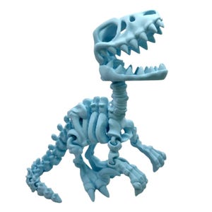 RAPTOR Flexi Skeleton ~ 3D Printed Articulated Dinosaur Skeleton Toy ...