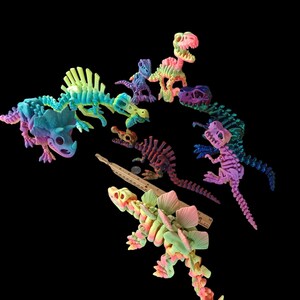 RAPTOR Flexi Skeleton ~ 3D Printed Articulated Dinosaur Skeleton Toy ...