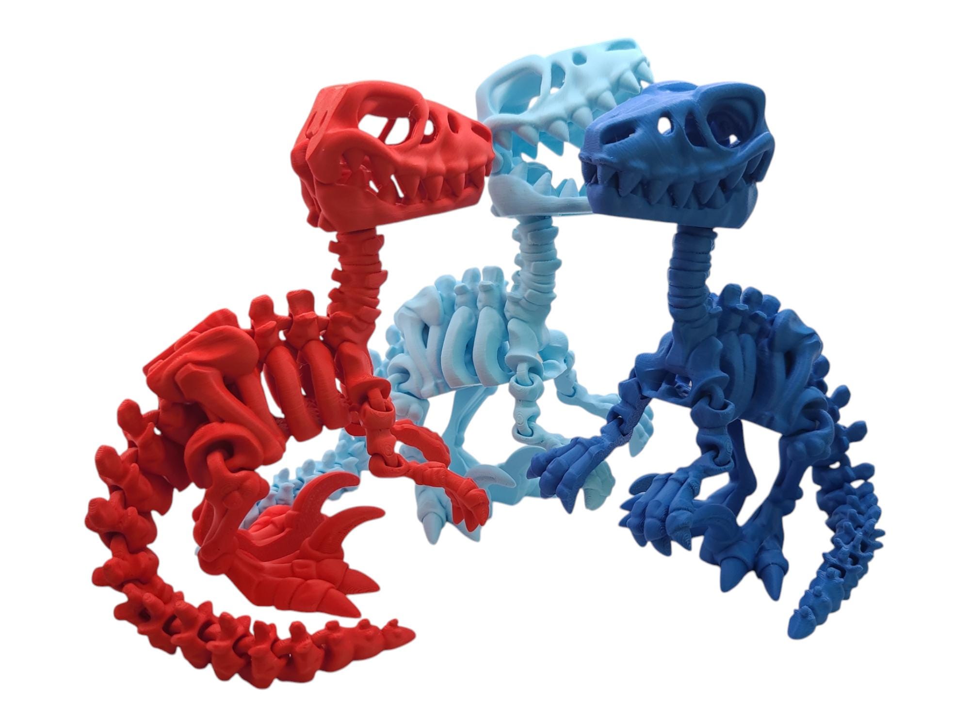 RAPTOR Flexi Skeleton ~ 3D Printed Articulated Dinosaur Skeleton Toy ...
