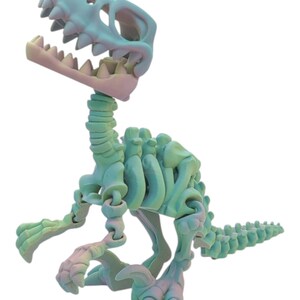 RAPTOR Flexi Skeleton ~ 3D Printed Articulated Dinosaur Skeleton Toy ...