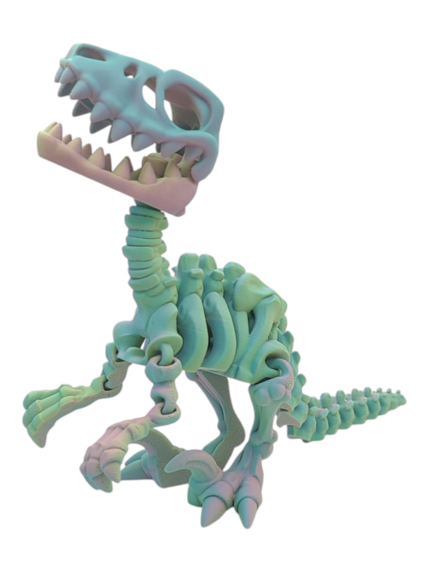 RAPTOR Flexi Skeleton ~ 3D Printed Articulated Dinosaur Skeleton Toy ...