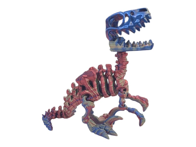 RAPTOR Flexi Skeleton ~ 3D Printed Articulated Dinosaur Skeleton Toy ...