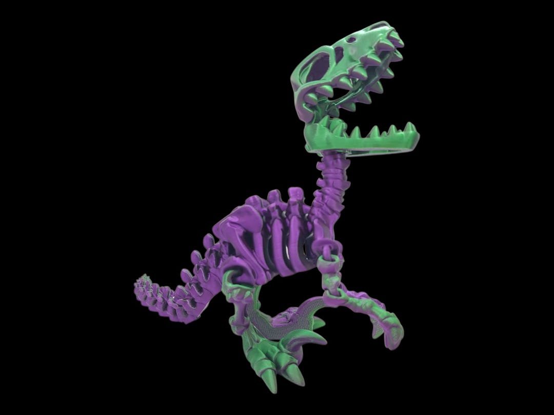 RAPTOR Flexi Skeleton ~ 3D Printed Articulated Dinosaur Skeleton Toy ...