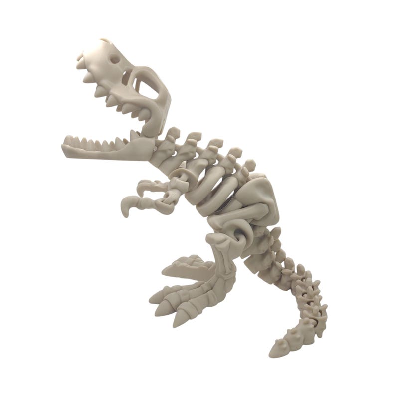 T-REX Flexi Skeleton 3D Printed Articulated Dinosaur Skeleton Toy ...