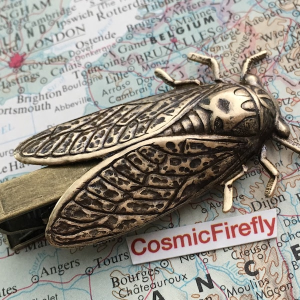 Cicada Jewelry - Etsy