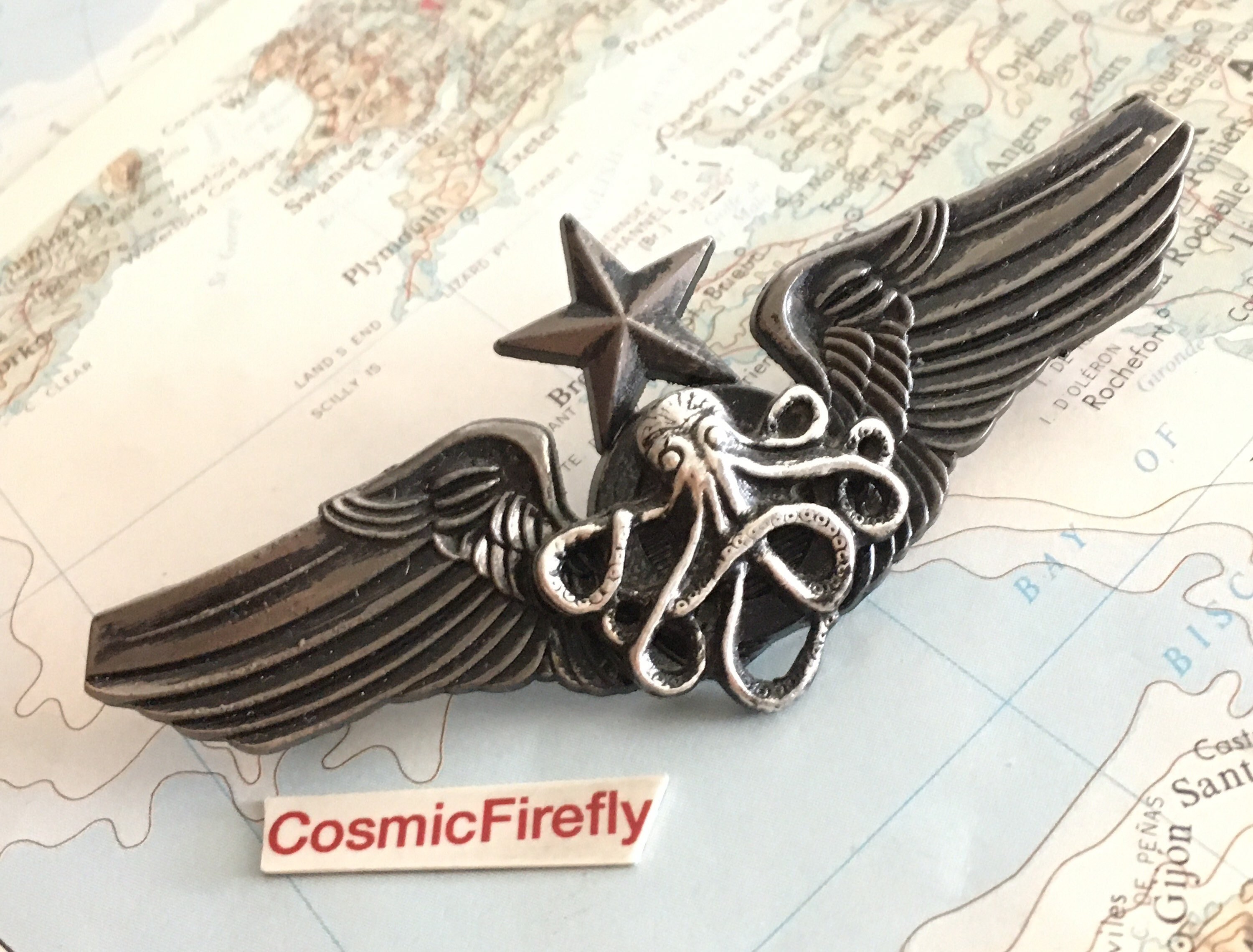 Flying Wings Pin