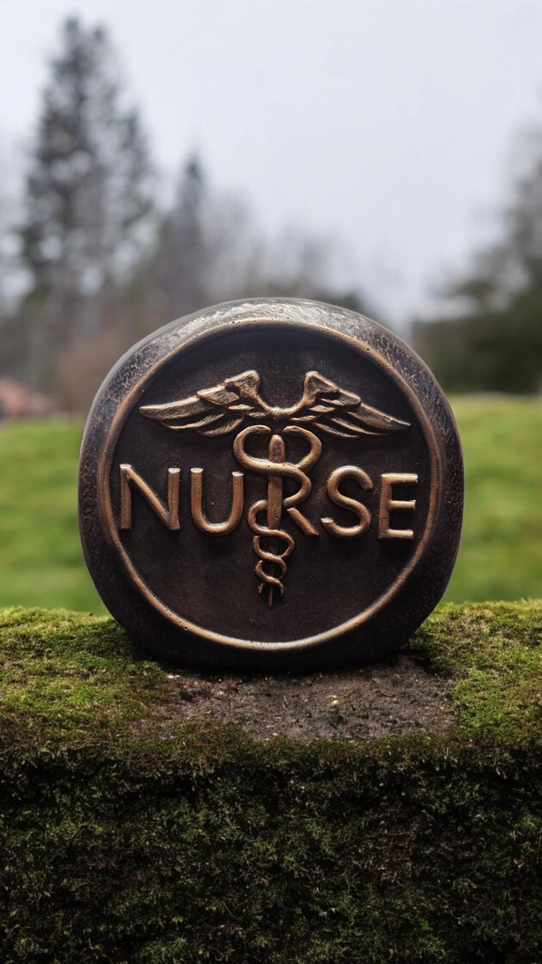 Nurse Plaque - Etsy