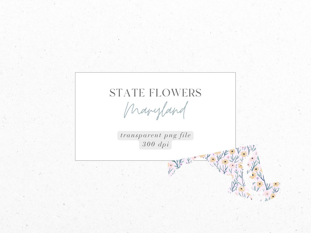 Maryland, Black-eyed Susan, State Flowers, Ditsy Florals, PNG, Digital ...