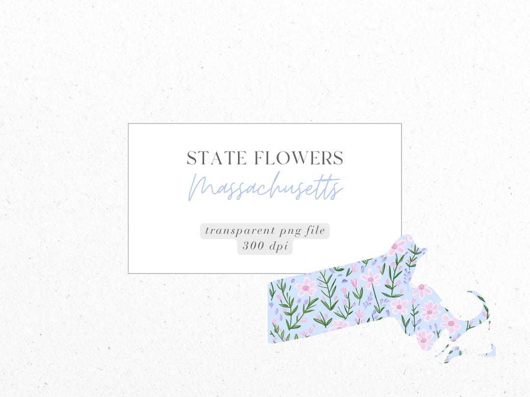 Massachusetts, Mayflower, State Flowers, Ditsy Florals, PNG, Digital ...