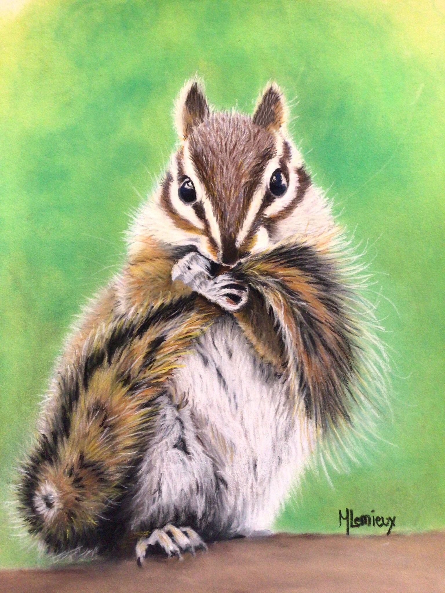 Switzerland, Chipmunk, Striped, Drawing, Painting, Pastel, Animals - Etsy