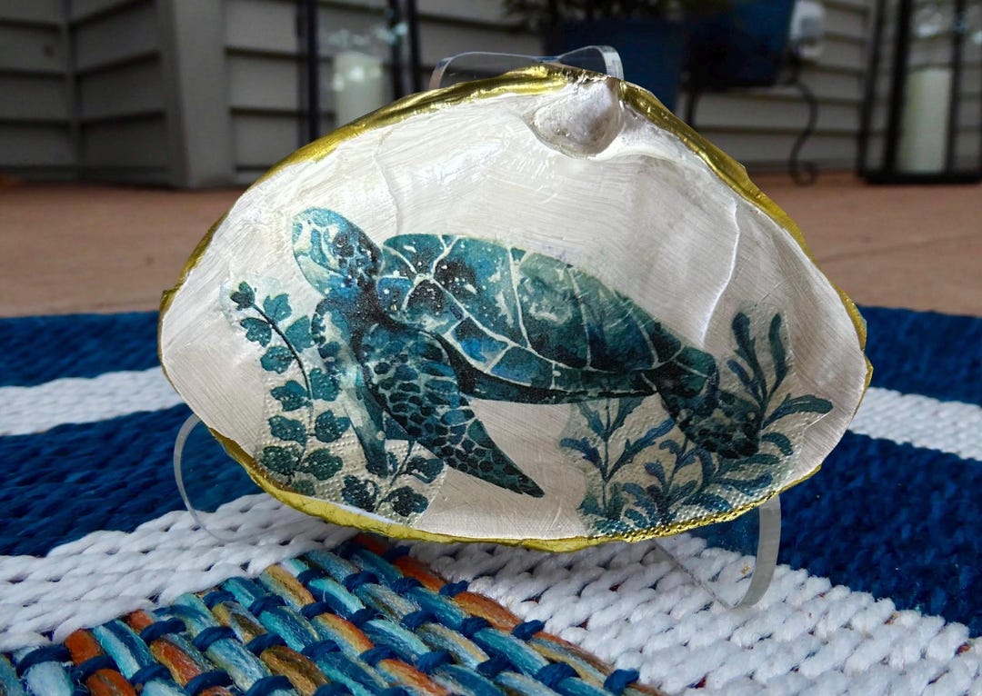 Beach Turtle Shell - Etsy