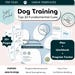 Dog Training Plan | Positive Reinforcement | Essential Puppy & Adult ...