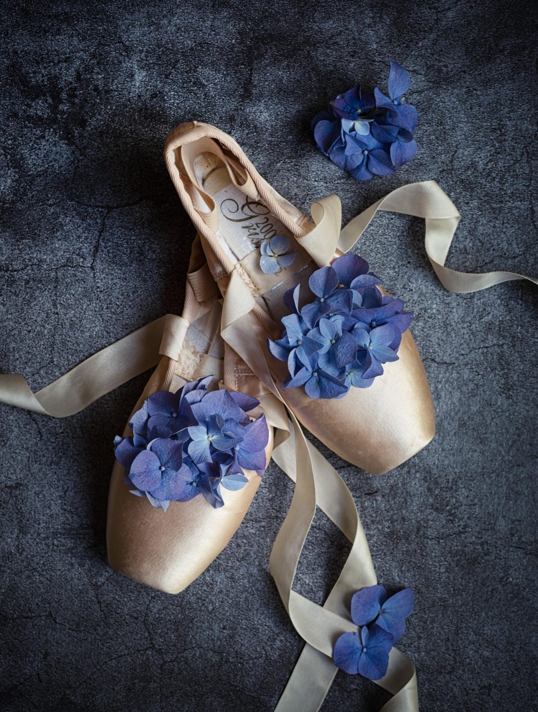 Purple Petals and Pointe Shoes. Ballet Art Wall Decor. Home, Dance Studio, Office, Room Decor ...