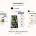 100 Customizable Canva Templates for Landscaping & Green Businesses ...