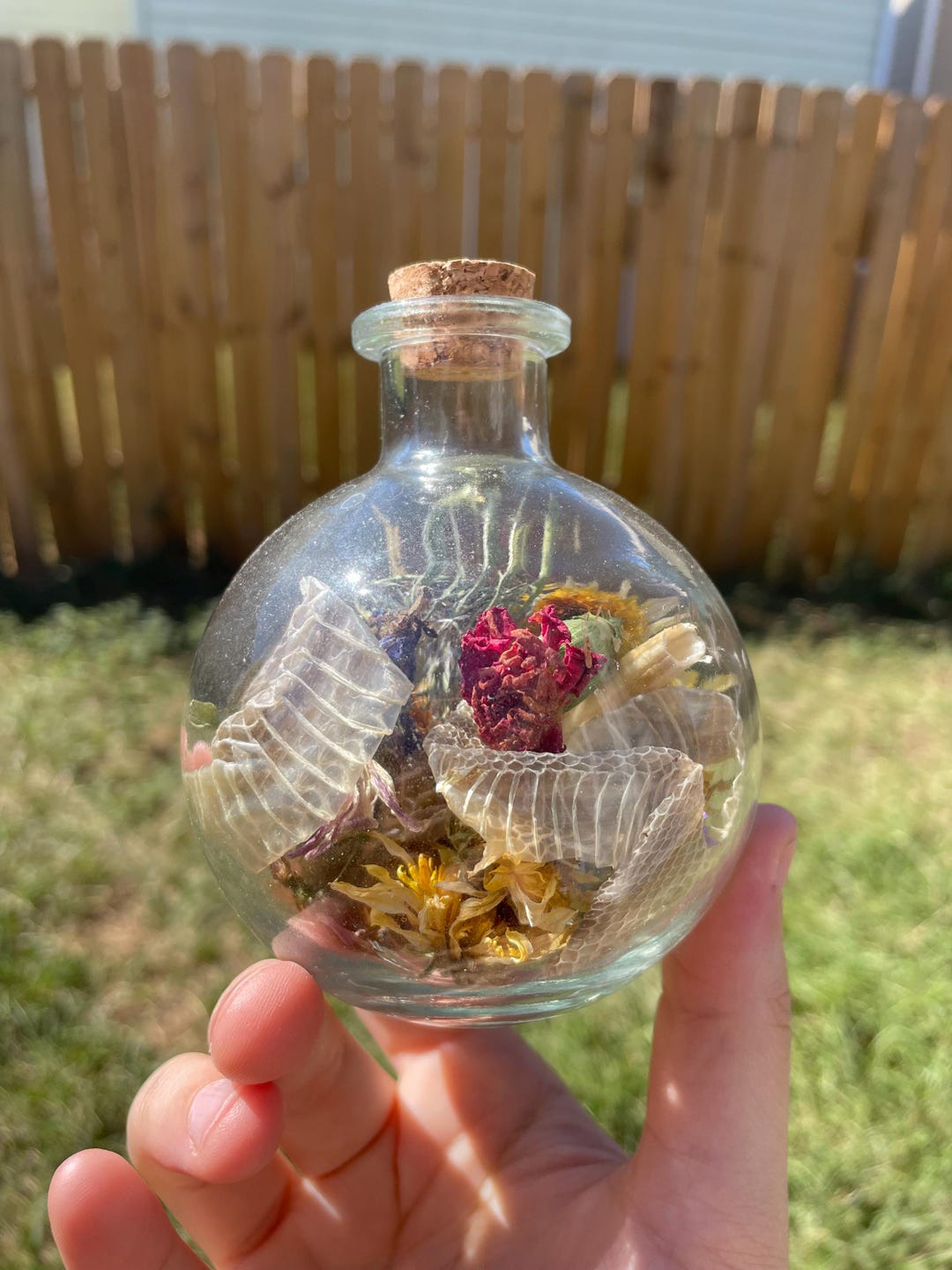 Oddity Jar Snake Skin Flowers - Etsy