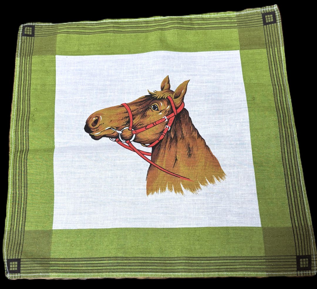 Vintage 13" Novelty Realistic Brown Horse Head Hankie, Handkerchief ...