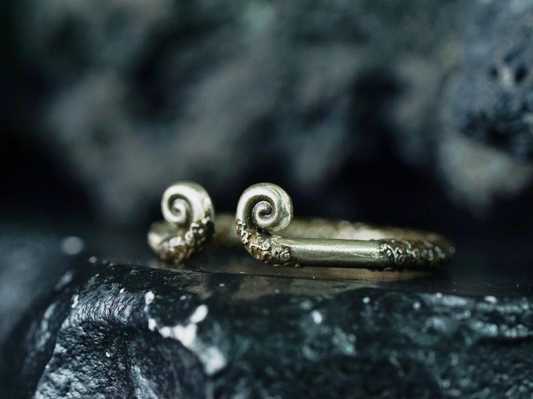 EXCLUSIVE Fanmade Sun Wukong Signet Ring, Handmade Black Myth Wukong ...