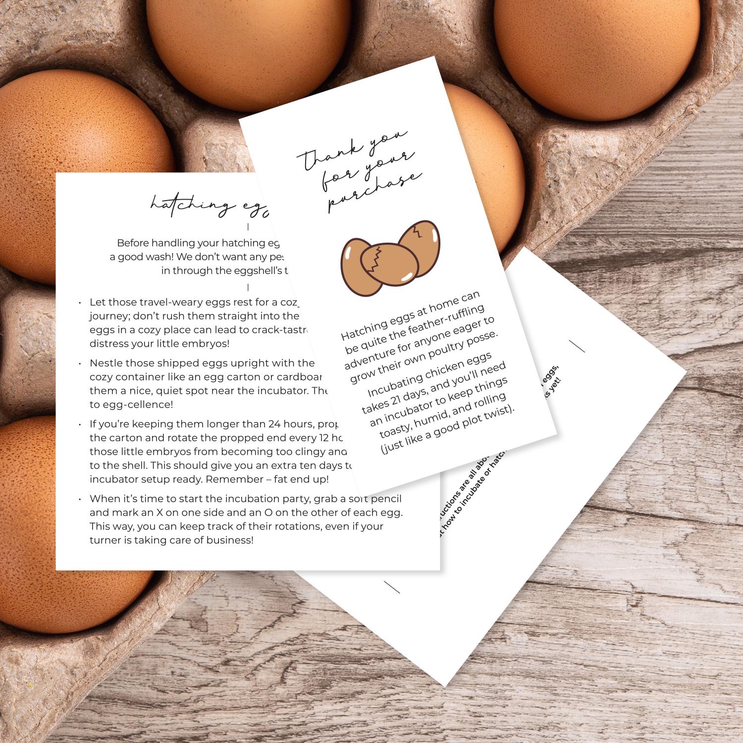 Hatching Egg Handling Instruction Card, Hatching Egg Care, Egg Hatching ...