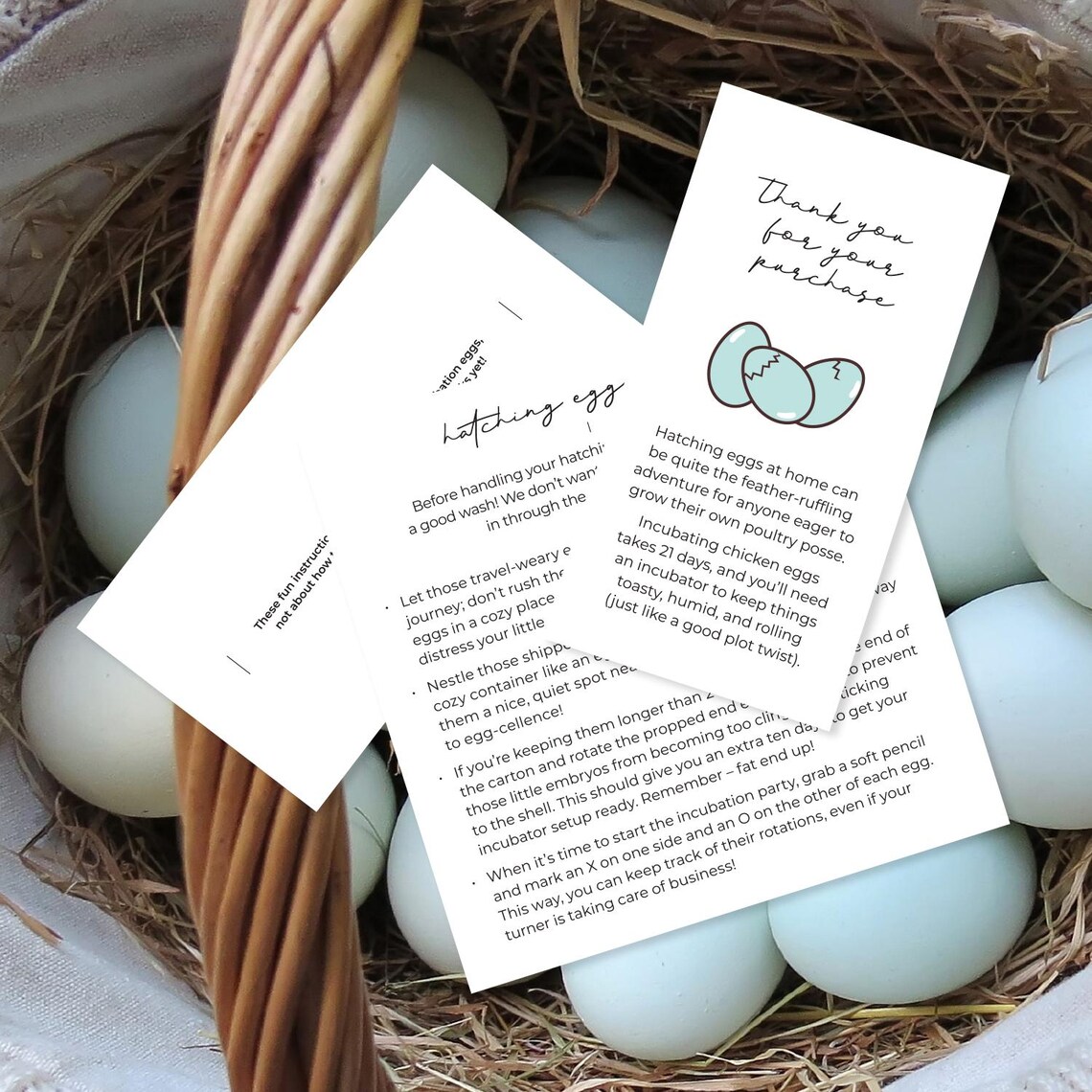 Hatching Egg Handling Instruction Card, Hatching Egg Care, Egg Hatching ...