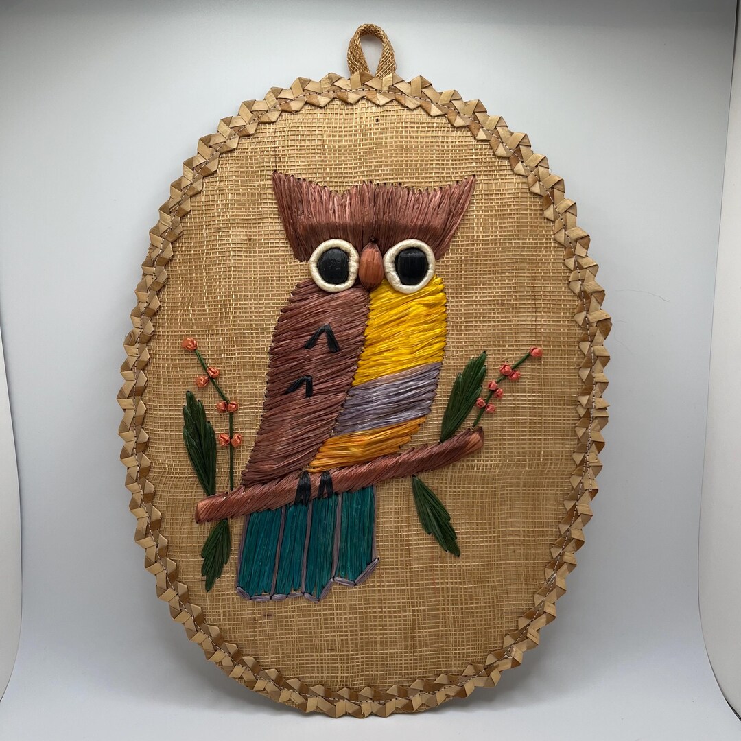 Vintage Oval Owl Woven Straw Raffia Art Wall Hanging - Etsy