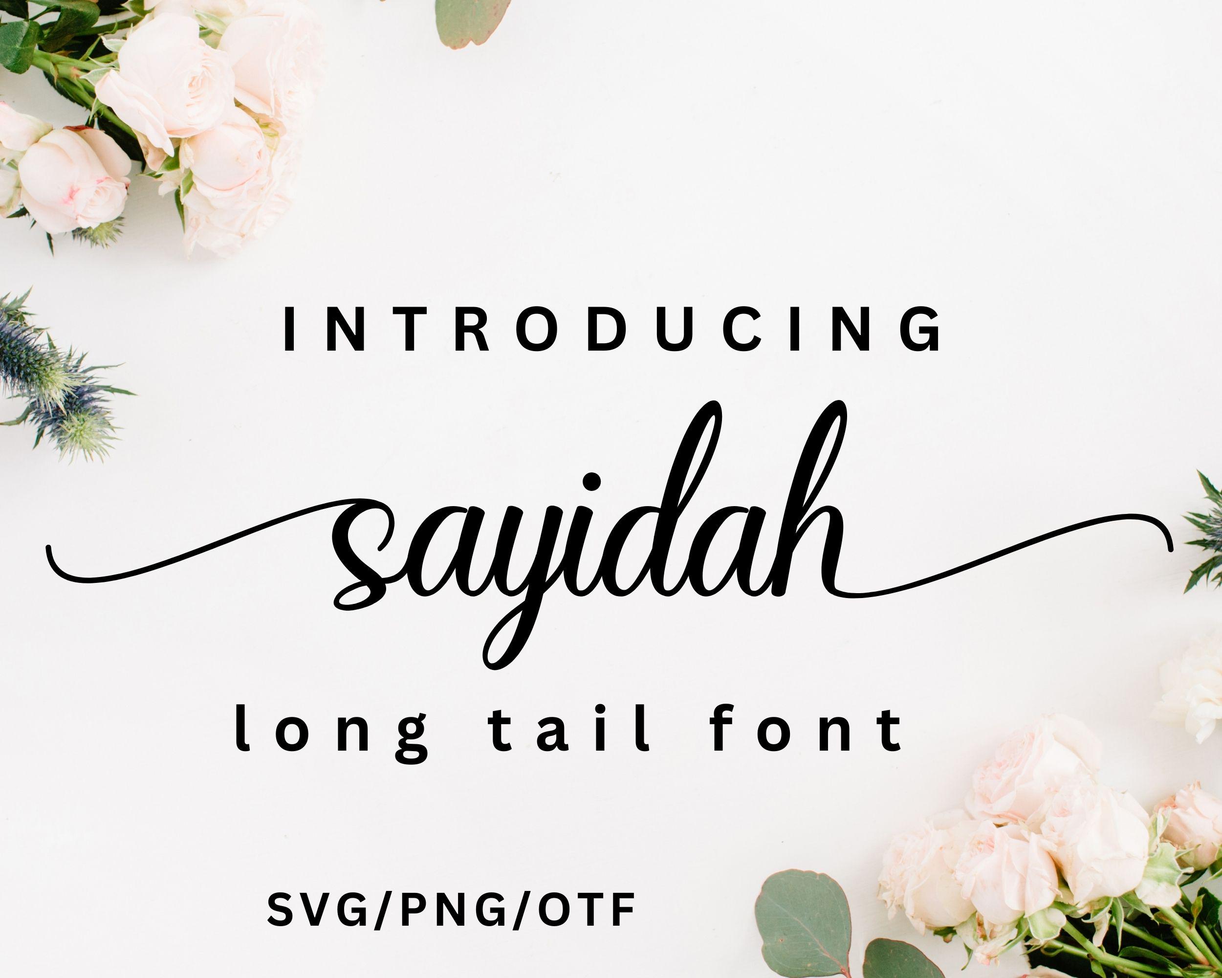 Long Line Tail Font, Font With Tails, Emily Digital Long Tail Font ...