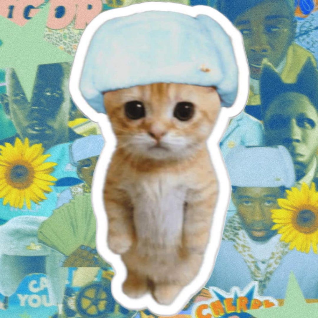Tyler, the Creator Standing Cat Meme Kiss-cut Stickers - Etsy UK