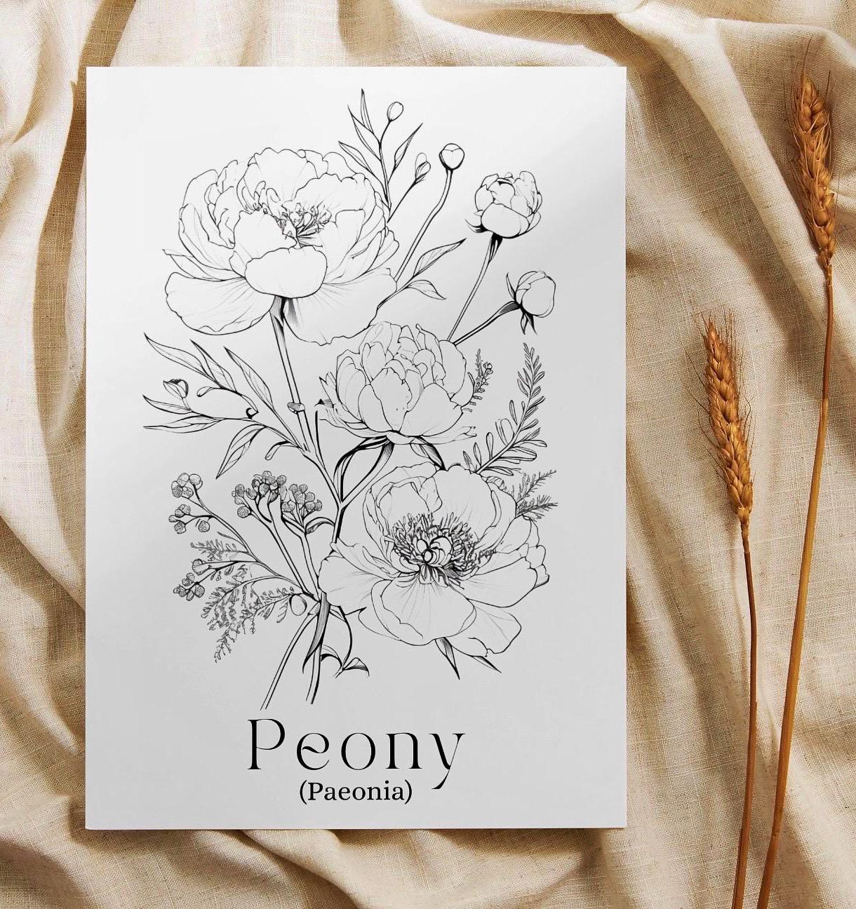 Flower Coloring Pages, 10 Hand-drawn Watercolor Pages, Instant Download ...