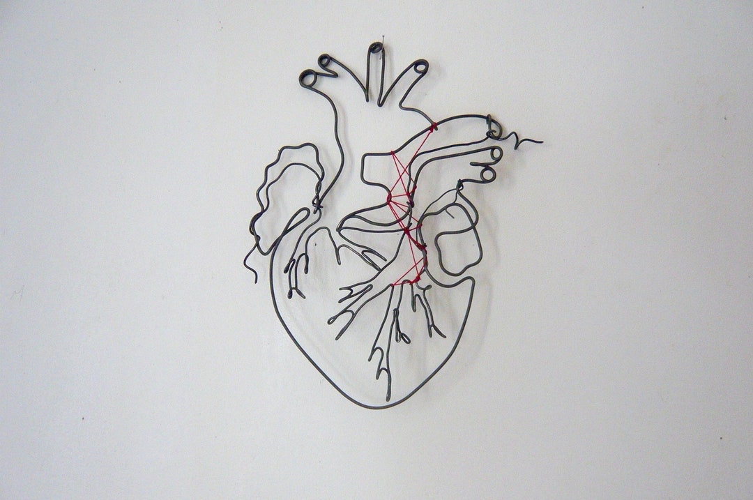 Human Heart Sculpture, Anatomy, Stitched, Wire Art, Wall Decoration ...