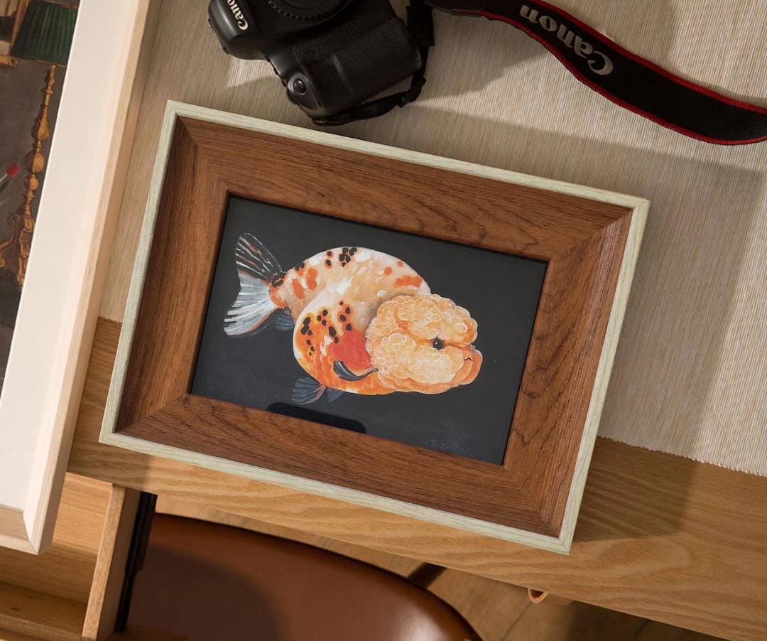 Ranchu Goldfish Portrait| Original Handmade Watercolor Painting| Home ...