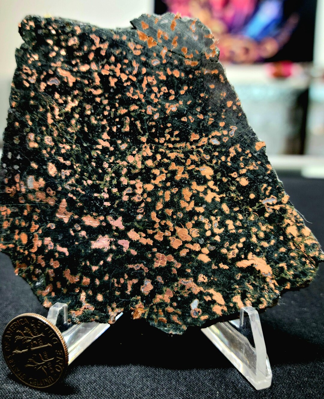 PREMIUM Native Copper in EPIDOTE Slab | Michigan Specimen- 3.5" X 3" X ...