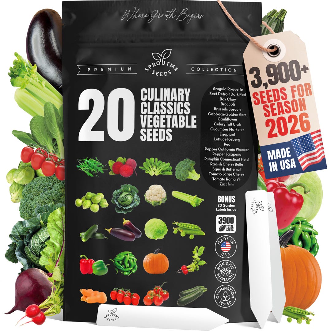 Vegetable Seed Variety Pack: 20 Heirloom Non-gmo Seeds With Plant ...