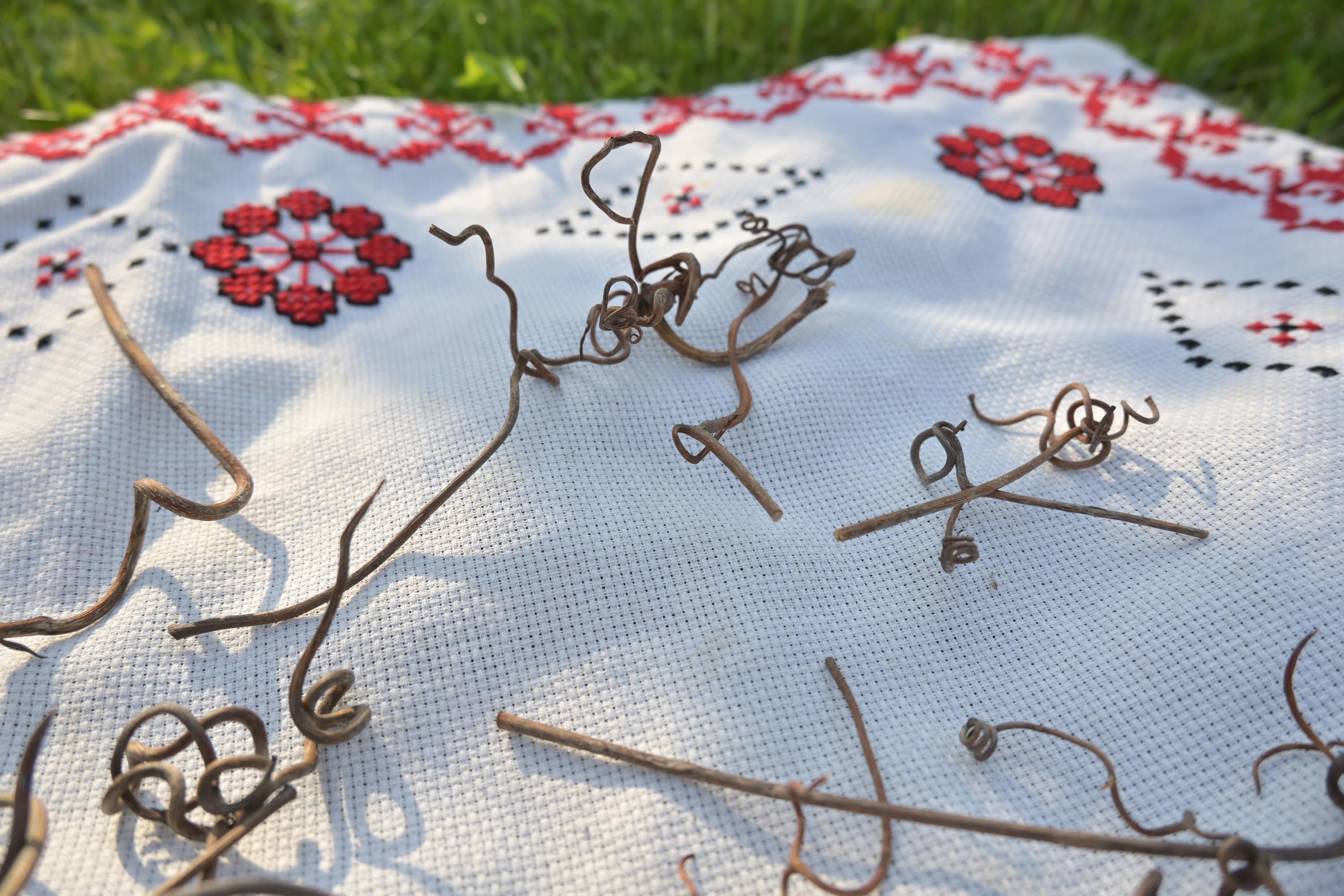 30 Wooden Grape Vine Curled Sticks for Crafting Projects - Etsy