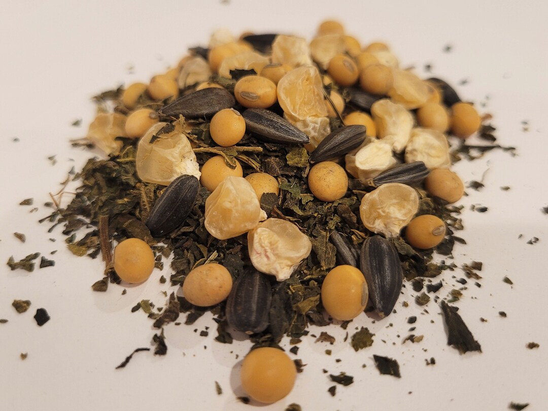 Plant-powered Protein Hamster Forage 200g - Etsy