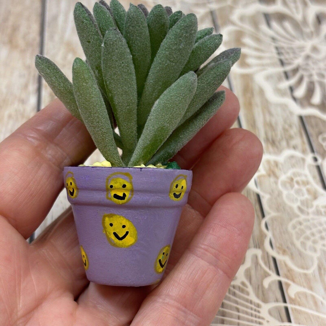 Painted Terracotta Smiley Face Pot, Cute Little Window Sill Planter ...
