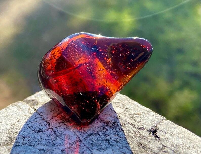 Rare Red Fire Baltic Amber: Ancient Inclusions, Collector's Gem - Etsy