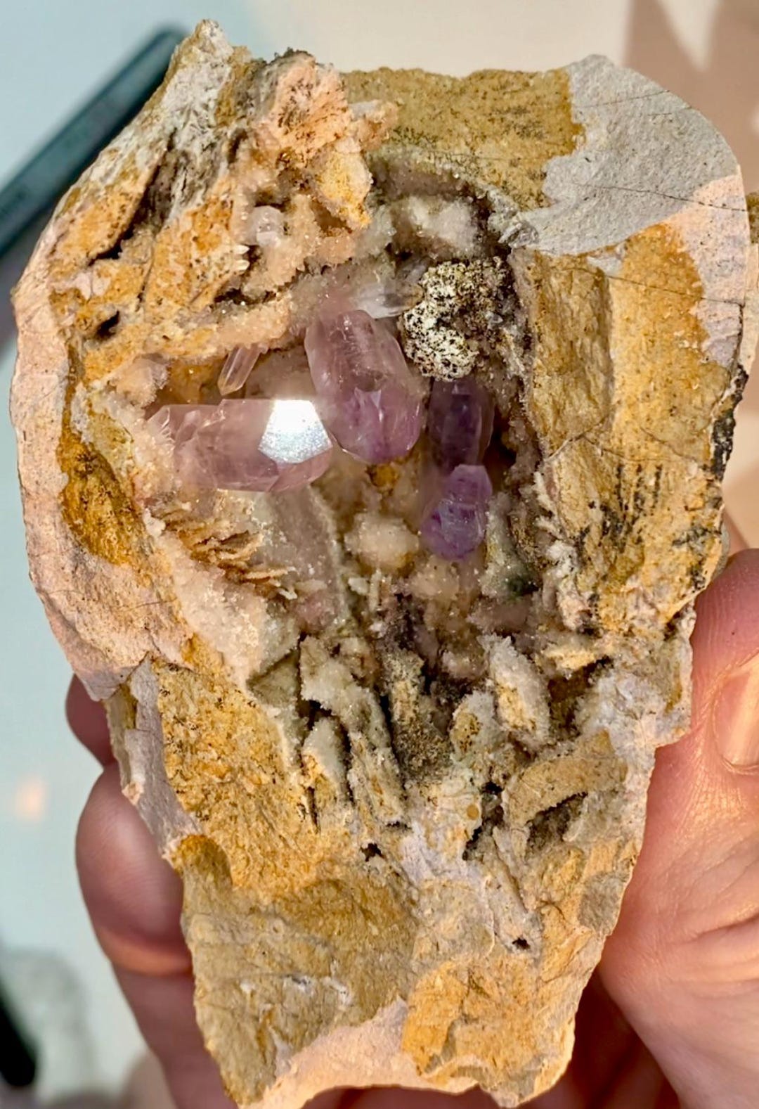 6 Amethyst Crystals in a Small Vug, Goboboseb Mountains, Namibia. 8 X 8 ...