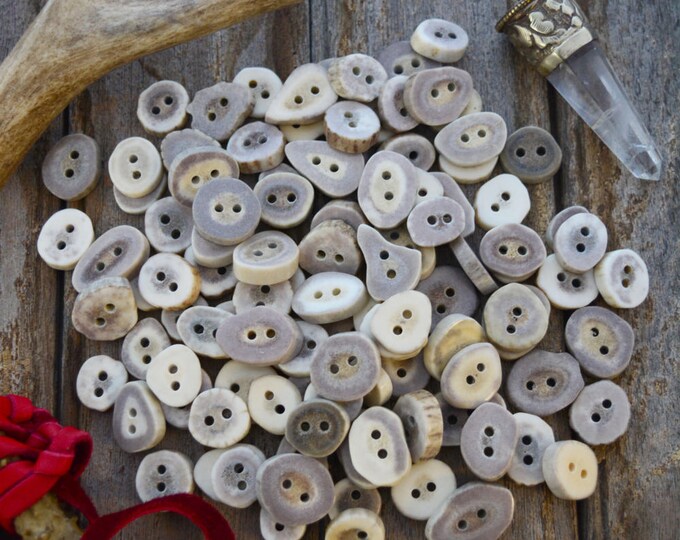 Deer Antlers: Naturally Shed Deer and Elk Antler BUTTONS, 1 Pc X 15mm ...