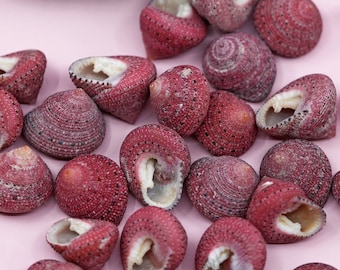 Strawberry Top Shells - Etsy