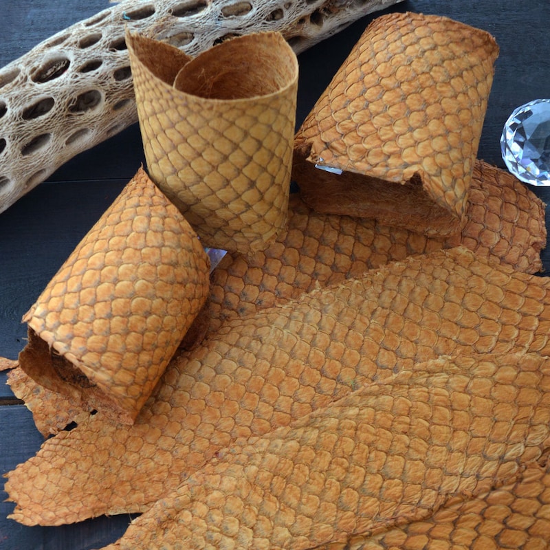 Leather Skin - Etsy
