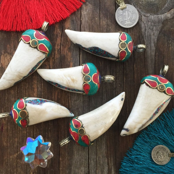 Nepal Conch Shell - Etsy