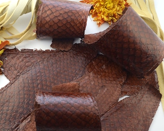 Fish Skin Leather - Etsy