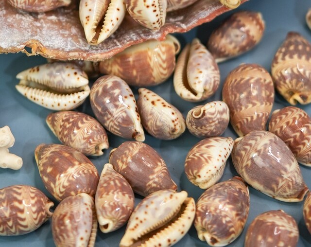 NatureBeads - Etsy Canada